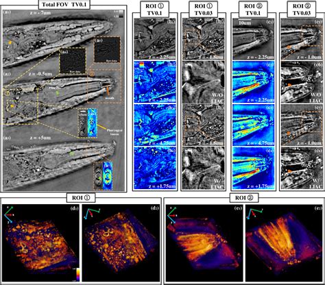 Figure 5 From Refractive Index Tomography With A Physics Based Optical Neural Network