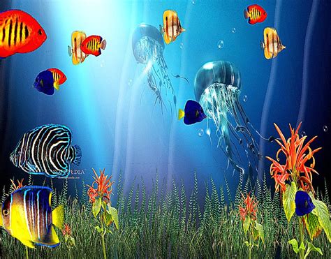 Marine Life Screensaver