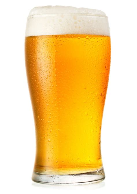 Polyclar 10 Pvpp Beer Stabilizer General Filtration