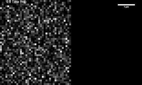 Single Molecule Tracking In Live Cells Reveals Distinct Target Search Strategies Of