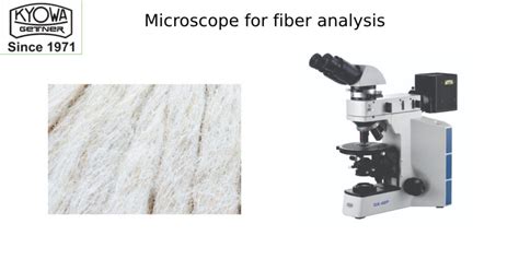 Ai Microscopes Revolutionizing The World Of Microscopy