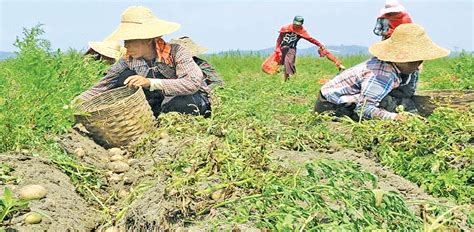 ကိုဗစ် ၁၉ ကာကွယ်၊ ထိန်းချုပ်၊ ကုသရေး ဗဟိုကော်မတီမှ အသိပေးကြေငြာတောင်သူအကျိုးစီးပွားအတွက် ပြည်တွင