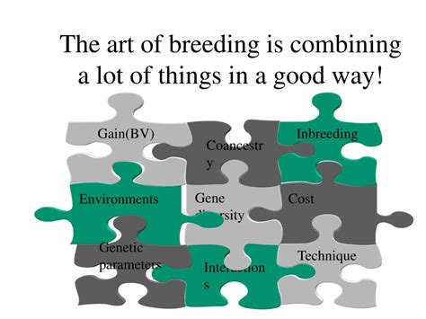 Ppt Quantitative Genetics And Breeding Theory Powerpoint Presentation Id6760551