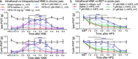 Intrathecal 2r 6r Hnk Exerts Delayed Antinociceptive Effects On Download Scientific Diagram