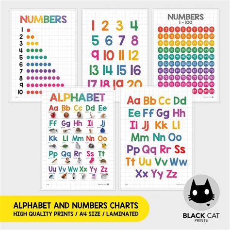 Alphabet Numbers Educational Chart Poster A4 Size High Quality
