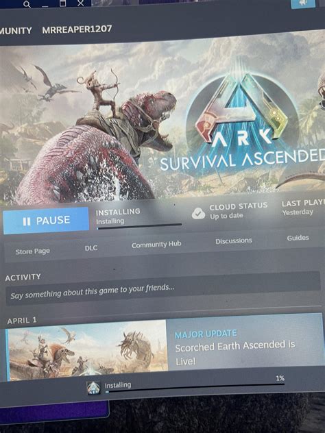 Wildcard Learn To Patch Correctly Rplayark