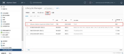 【esxi 6x升级7x】esxi 升级 —— 升级前准备工作，注意事项以及示例 — 使用 Vsphere Lifecycle