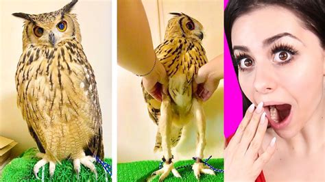 Amazing Things You Have Never Seen Before Youtube