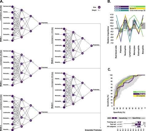 Final Ensemble Neural Network Model A Visual Representation Of The Download Scientific Diagram