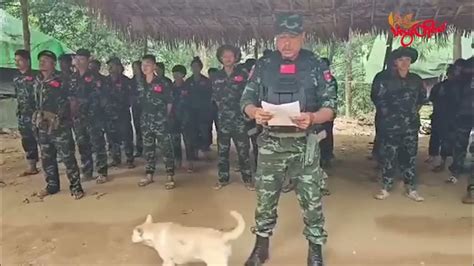 Tlt Tv သၠုၚ်ပ္တိုန်အာအသိၚ်ဗတိုက် ဗဒိုပ်ကံၚ်ဇြဳပၞာန် မၞုံခရိုၚ်ဗိက်တအ်ဏောၚ် Pdf ဒေသတအ် ဟီု