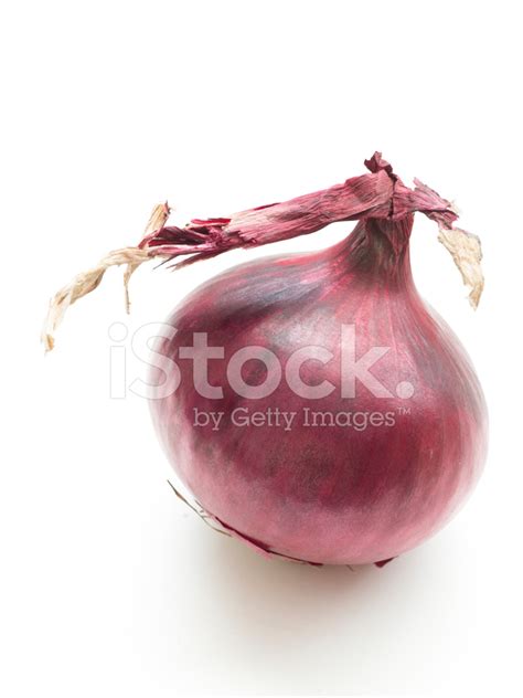 전체 양파 스톡 사진 Freeimages