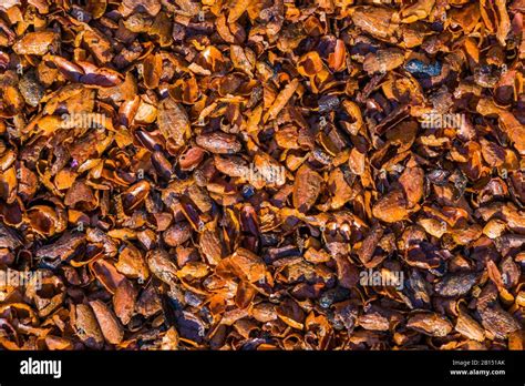 Cocoa Shell Mulch Hi Res Stock Photography And Images Alamy