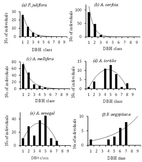 Dbh In Cm Distribution Of Number Of Treeshrub Individuals Over Dbh Download Scientific