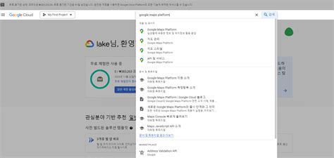 구글api 위도 경도 받아오기 파이썬 python