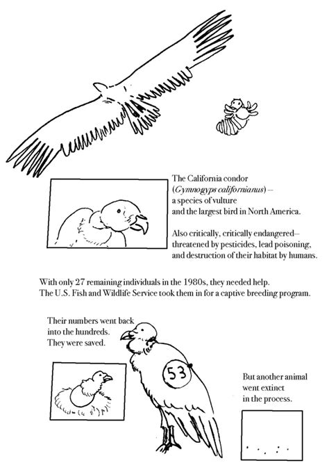 Coextinction Crucial Comix