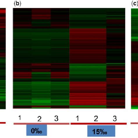Heatmap Showing Differential Expression Pattern Of Transcripts At 0