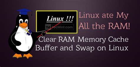 How To Clear RAM Memory Cache Buffer And Swap Space On Linux