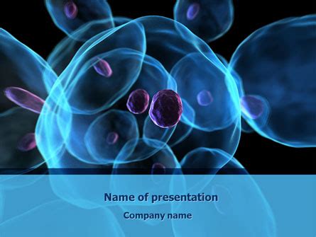 Stem Cells Presentation Template For PowerPoint Google Slides And Keynote PPT Star