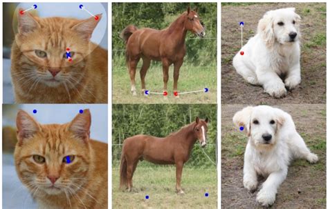 Technobytes Draggan Ai Image Editor Introduces Revolutionary Drag Controls For Enhanced Editing