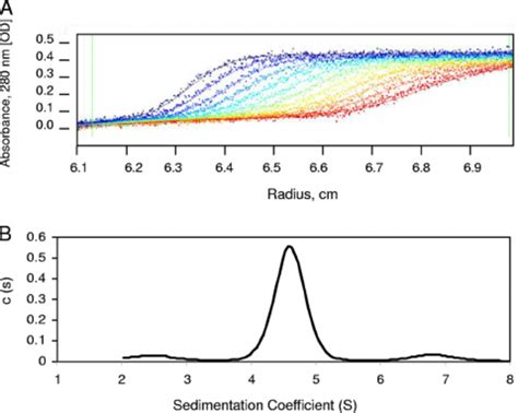 Analytical Ultracentrifugation Of M2 1 A Sedimentation Velocity