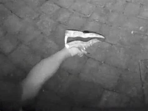 Late Man Caught Trying To Avoid Ring Camera By Crawling On Floor
