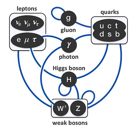 The Standard Model Of Particle Physics WorldAtlas