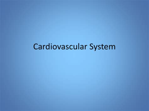 Cardiovascular System