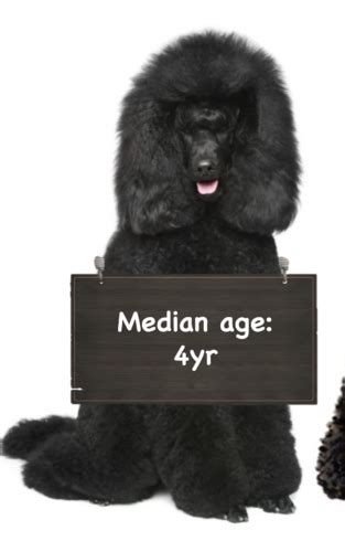 Endocrine 4 Hypoadrenocorticism Flashcards Quizlet