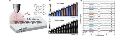 中国科大在分子链体系的单光子超辐射研究中取得重要进展