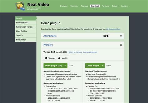 What Is Neat Video And How To Use The Plugin To Reduce Noise