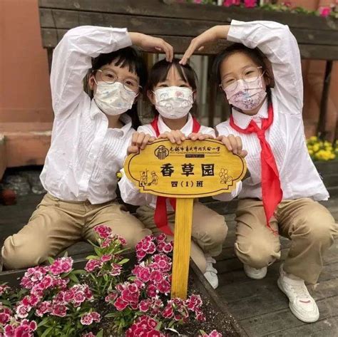 校园动态 人间四月芳菲醉劳动实践促成长 种植 活动 花苗