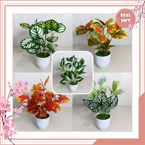 Jual UNICO Tanaman Hias Plastik Import Termurah Pot Bunga Hias Artificial Dekorasi Daun Hias