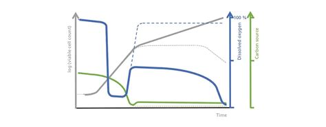 the difference between batch fed batch and continuous processes
