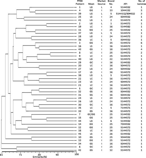 Dendrogram Of Representative Xbai Pulsed Field Gel Electrophoresis