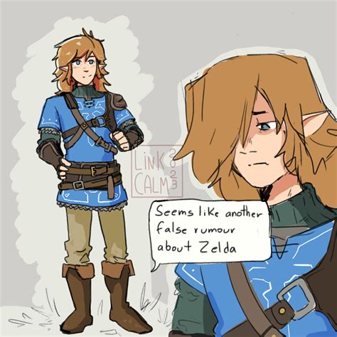 Headcanon That Link Gets Sad Or Upset About Some