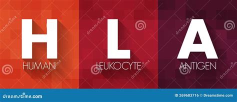 Hla Human Leukocyte Antigen Complex Of Genes On Chromosome 6 In