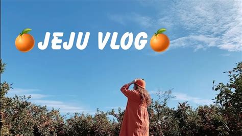 여행volg 혼자 떠난 제주여행🍊vlog 나홀로여행애월흑돼지돈까스귤따기체험곽지해변🌴 Youtube