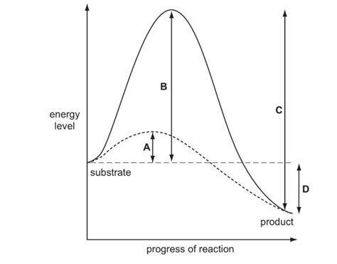 A Level Biology 31 Mode Of Action Of Enzymes Exam Style Question Paper 1