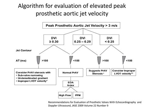 Prosthetic Valve Function Mitral At Tyson Bathurst Blog