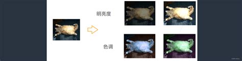 【动手学深度学习pytorch版】27 数据增强python Pytorch 数据增强 Csdn博客
