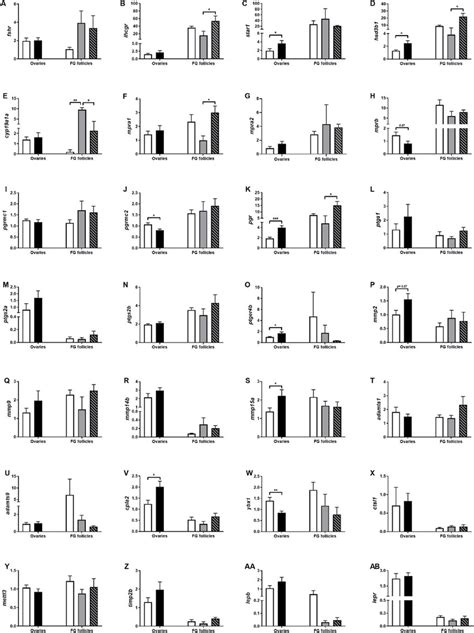 Relative Gene Expression Of Genes Involved In Ovulation Download