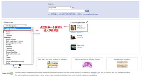 基因组注释文件 Gff Gtf 下载的五种方法 白墨石 Gitcode 开源社区