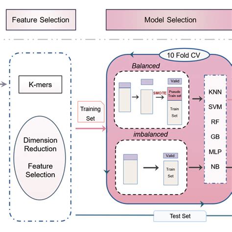 The Workflow Used To Analyze Imbalanced And Balanced Datasets To