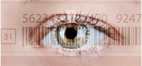 Postal Barcodes And How To Read Them Scanbot Sdk