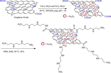Catalyst Synthesis Steps Fe3o4 Go‐nh2 Mnps Download Scientific Diagram