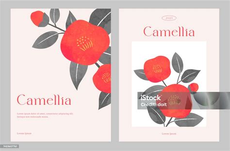 미니멀리스트 꽃 초대장 템플릿입니다 빨간 일본 동백 배경 수채화 스타일 표지 카드 포스터 전단지 배너 현대 미술 디자인 손으로 그렸습니다 트렌디 한 평면 벡터 그림입니다