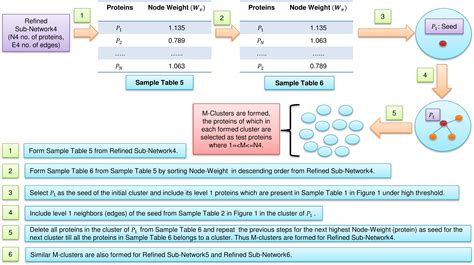 Funpred 30 Improved Protein Function Prediction Using Protein Interaction Network Peerj