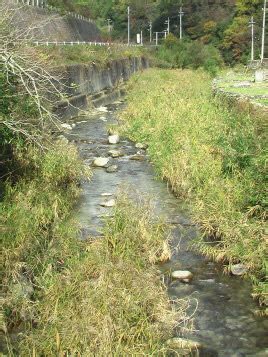 知恵の輪 石手川大井野町