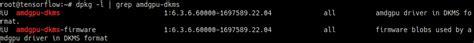 amdgpu dkms rocm tensorflow pytorch in ubuntu 22 04 cli