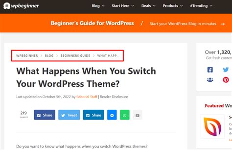 how to enable wordpress breadcrumbs step by step